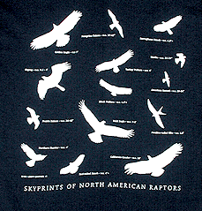 Birds of Prey Graphic T-shirts Raptor T-shirts, Eagle, Owl and Hawk, T ...